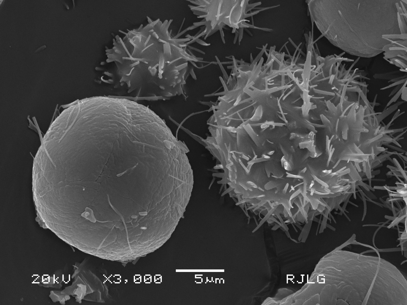 Why Morphology Makes the Difference in Particle Characterization