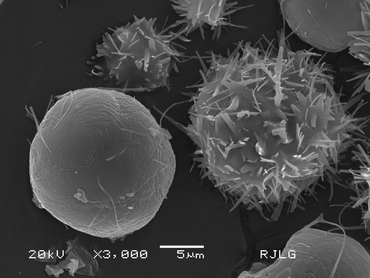 Why Morphology Makes the Difference in Particle Characterization