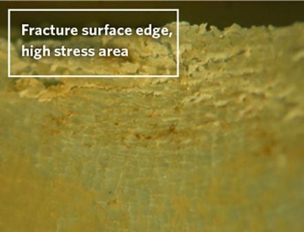 Understanding Environmental Stress Cracking in Plastics