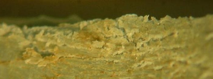 Understanding Environmental Stress Cracking in Plastics